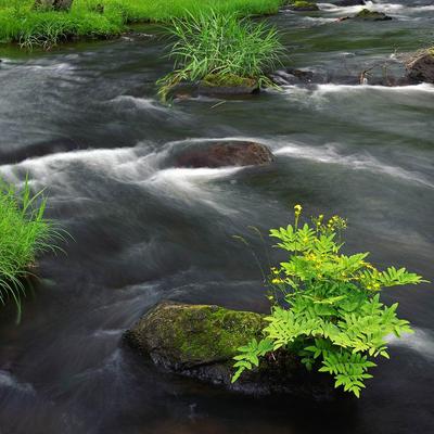 River across - KDE Store