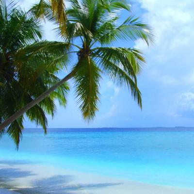 Maldives Beach - KDE Store