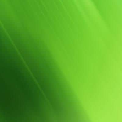 Green abstract gradient line - KDE Store