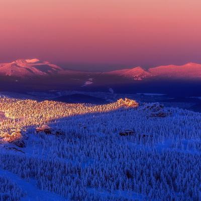 Snow Jungle Overlook - KDE Store