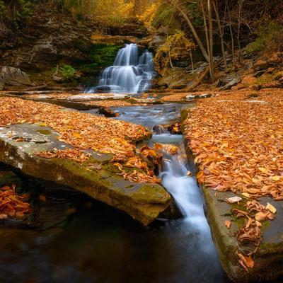 Autumn Forest River - KDE Store
