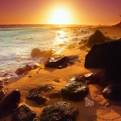 Rays Beach - KDE Store