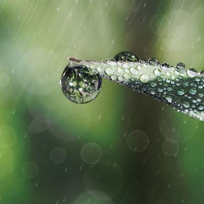 beautiful nature wallpaper - KDE Store