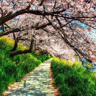 Beautiful Spring Nature Landscape - KDE Store