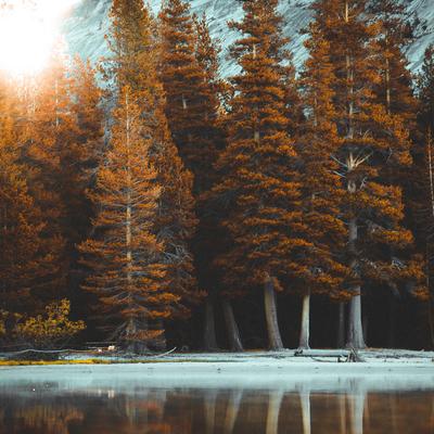 Naruto Full HD - KDE Store