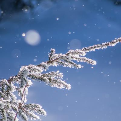 Freezing Full HD - KDE Store