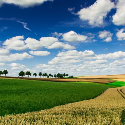 Green Grass Field Under Blue Sky and White Clouds - KDE Store
