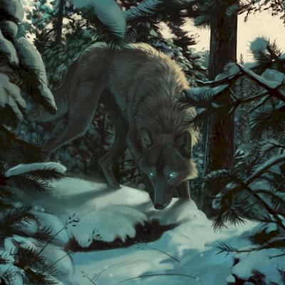 Black Wolf on Snow Covered Ground Full HD - KDE Store