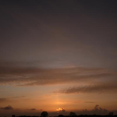 Silhouette of Trees During Sunset Full HD - KDE Store