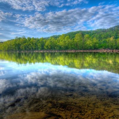 Lake Forest Landscape Hd Wallpaper - KDE Store