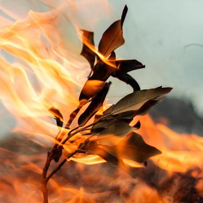 Fire Full HD - KDE Store