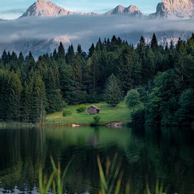 Tree Full HD - KDE Store