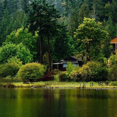 Brown and White House Near Green Trees and Lake - KDE Store