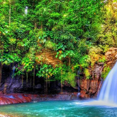 Tropical Rain Forest Mountain - KDE Store