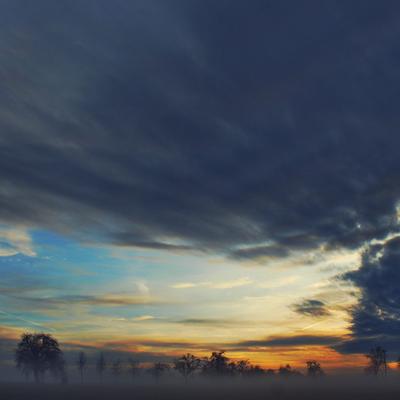Silhouette of Trees Under Cloudy Sky During Sunset Full HD - KDE Store