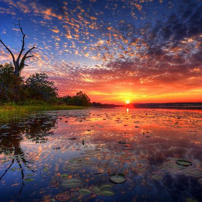 Sunset Sky Clouds Reflection Fores - KDE Store