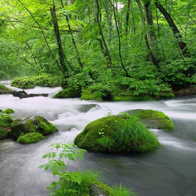 River Beautiful Nature - KDE Store