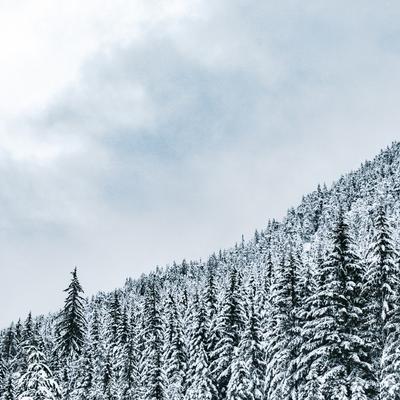 Winter Full HD - KDE Store