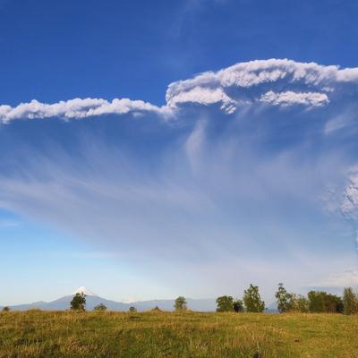 Green Grass Field Under Blue Sky and White Clouds - KDE Store