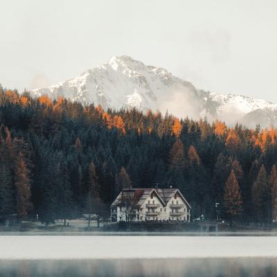 Tree Full HD - KDE Store