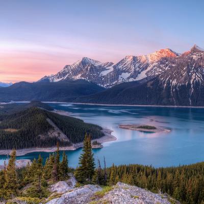 Green Pine Trees Near Lake - KDE Store
