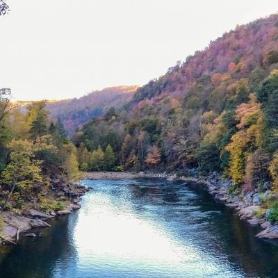 Green Trees Beside River - KDE Store