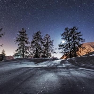 Snow Covered Road Near Trees During Night Time Full HD - KDE Store