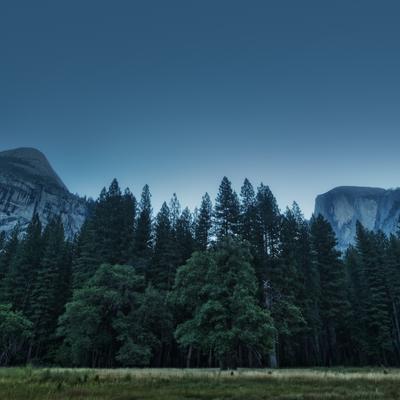 Green Pine Trees Near Mountain - KDE Store