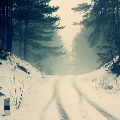 Snow Covered Road and Trees - KDE Store