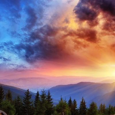 Green Trees Under Cloudy Sky - KDE Store