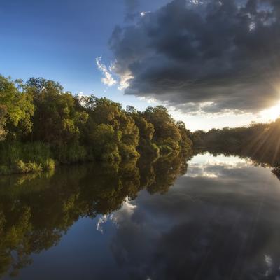 Green Trees Beside River Under Blue Sky - KDE Store
