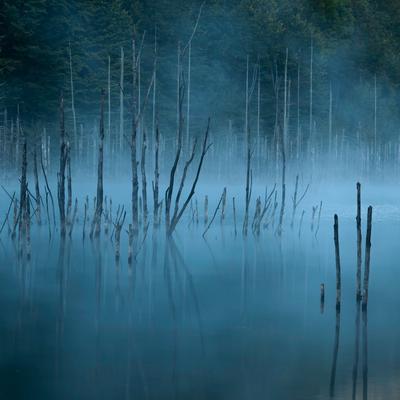 Reflection Full HD - KDE Store