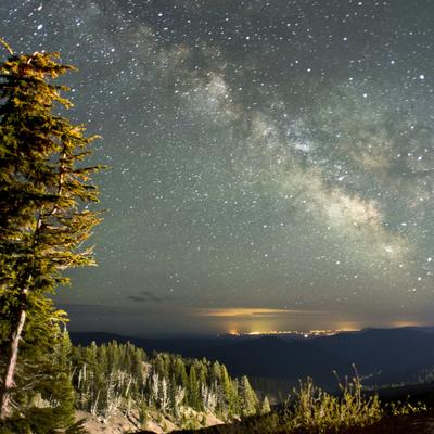 Green Pine Tree Under Starry Night Full HD - KDE Store