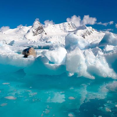 Ice on Water During Daytime Full HD - KDE Store