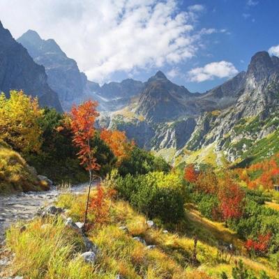 Green and Orange Trees Near Mountain Under White Clouds - KDE Store