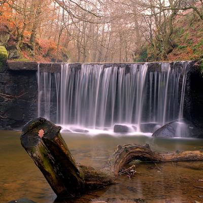 Brown Tree Trunk Near Waterfalls During Daytime Full HD - KDE Store