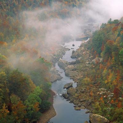 Green and Yellow Trees Beside River Full HD HDTV 1080p - KDE Store