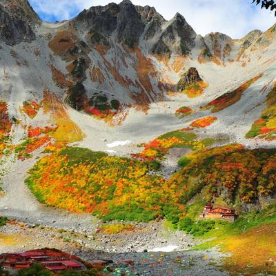 Green and Brown Trees Near Mountain During Daytime Full HD - KDE Store