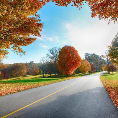 Gray Asphalt Road Between Green Grass Field Under Blue - KDE Store