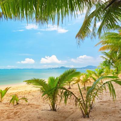 landscape - KDE Store