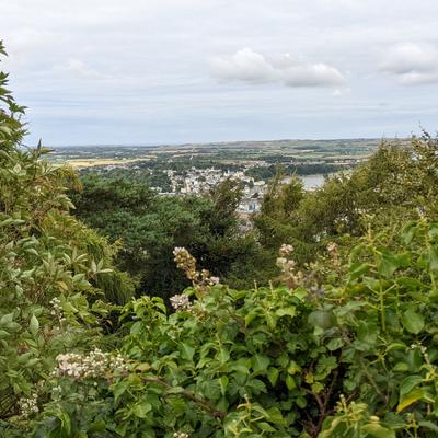 View from Albert Tower - KDE Store