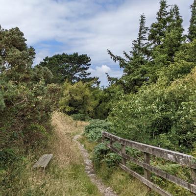 Path from Albert Tower - KDE Store