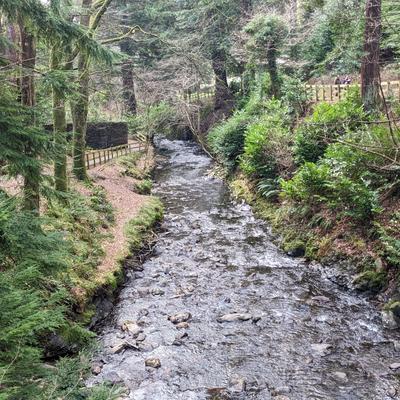 River in a Forest - KDE Store