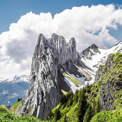 Summer Grass Rock Snow Mountain Switzerland - KDE Store