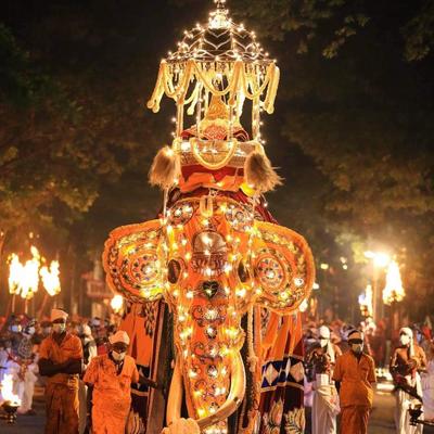 ellifant - KDE Store