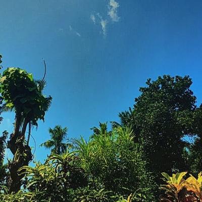 Blue sky - KDE Store