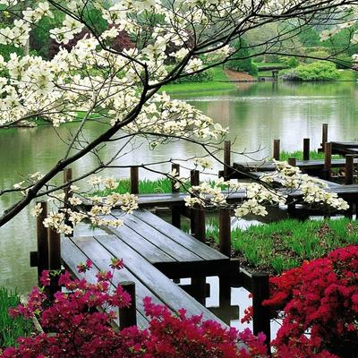 japanese garden-Natural landscape widescreen w.. - KDE Store