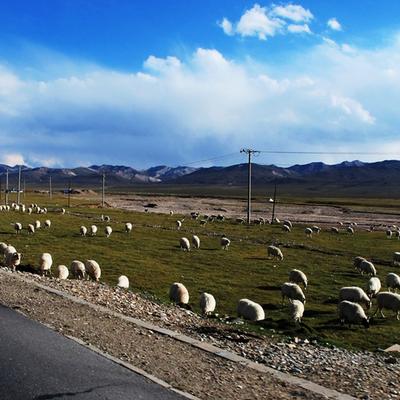 Alpine landscape-Natural Scenery Wallpaper - KDE Store