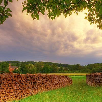 meadow summer-Beautiful natural scenery wallpa.. - KDE Store