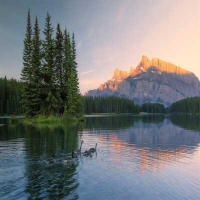 Canadian Geese Lake Banff National Park Albert.. - KDE Store